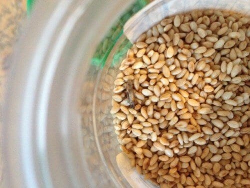 Moths Invaded Our Pantry…Bugs Like Real Food, Too! ⋆ 100 Days of Real Food