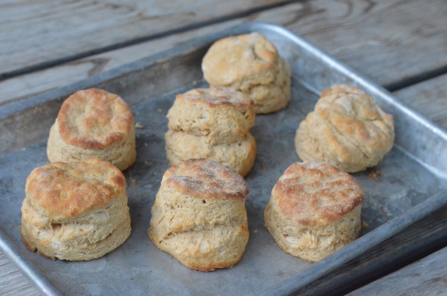 Fluffy Whole Wheat Buttermilk Biscuits ⋆ 100 Days of Real Food
