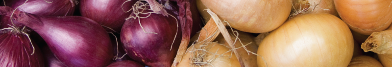 What to Buy Organic ⋆ 100 Days of Real Food