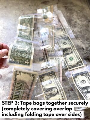 How to Make a DIY Money Cake for a Birthday ⋆ 100 Days of Real Food