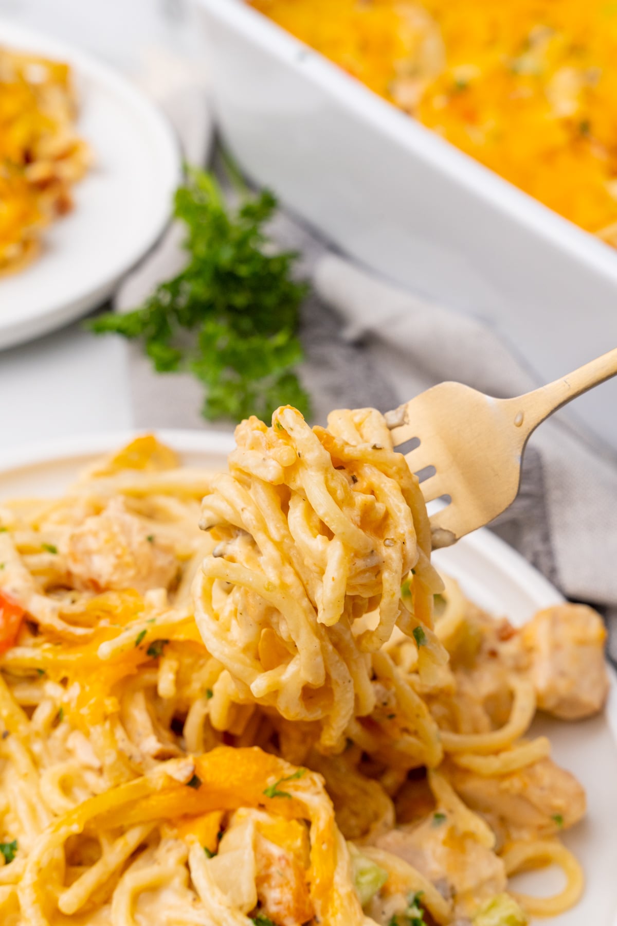 Chicken Spaghetti ⋆ 100 Days of Real Food – Nature's Gateway