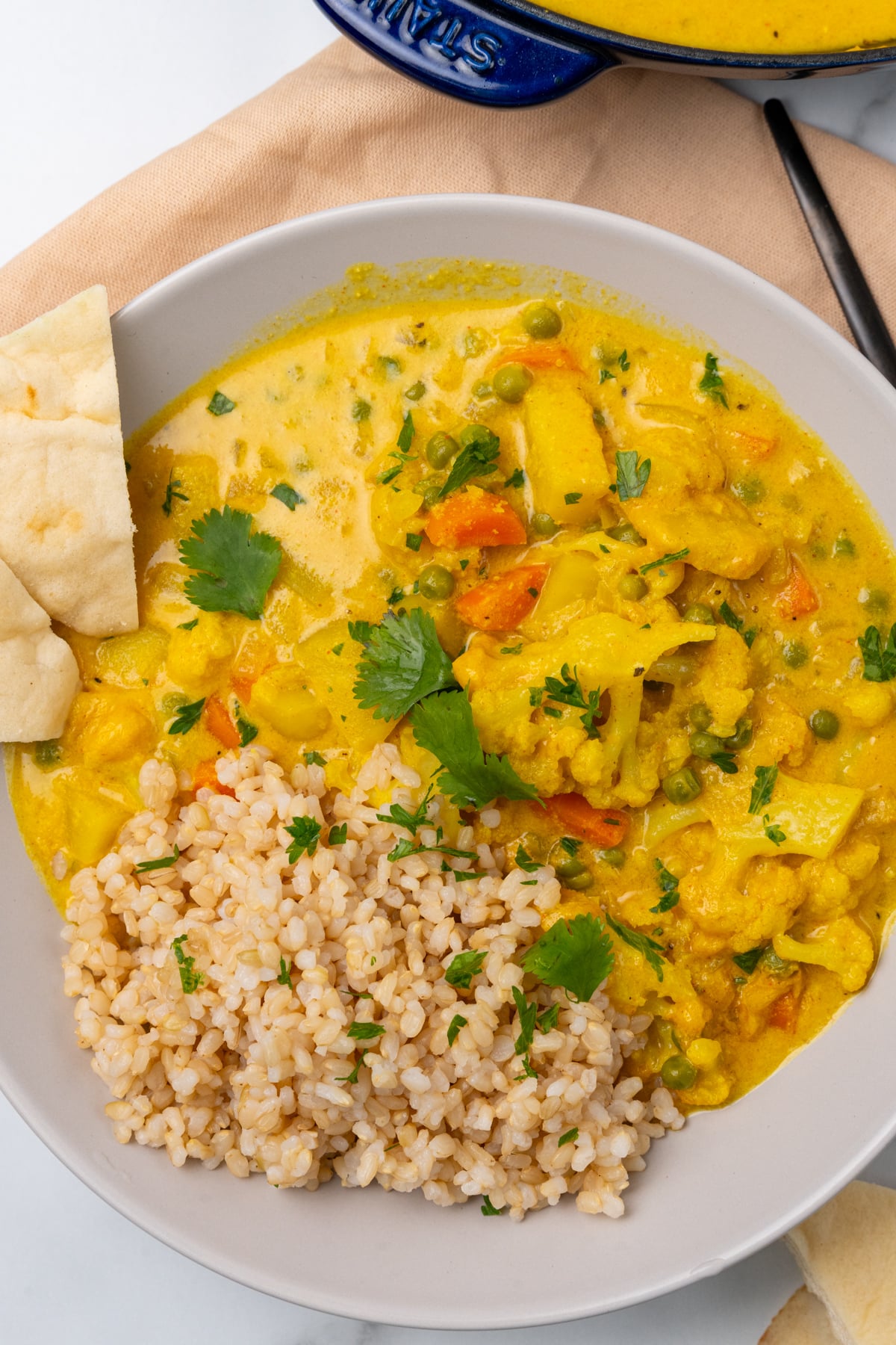 Vegetable Korma ⋆ 100 Days of Real Food – Nature's Gateway