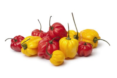 Types of Peppers ⋆ 100 Days of Real Food