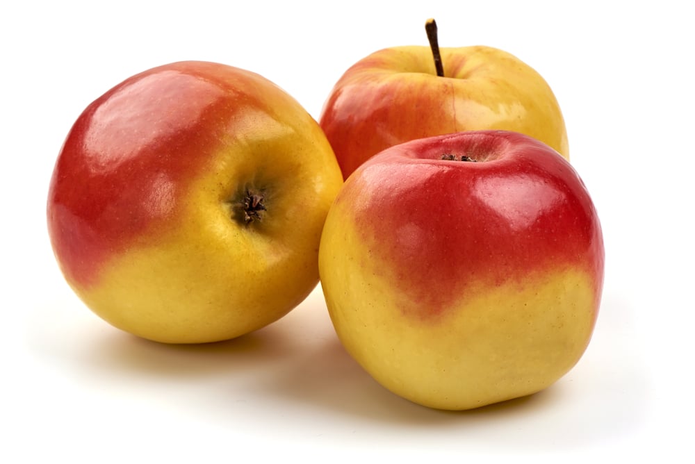 Types of Apples ⋆ 100 Days of Real Food