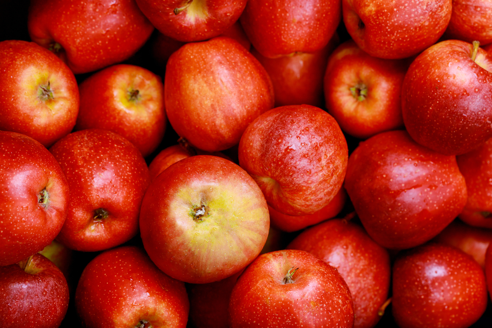 Types of Apples ⋆ 100 Days of Real Food