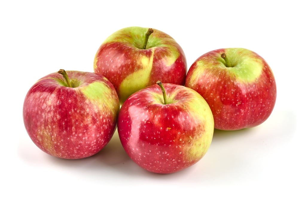 Types of Apples ⋆ 100 Days of Real Food