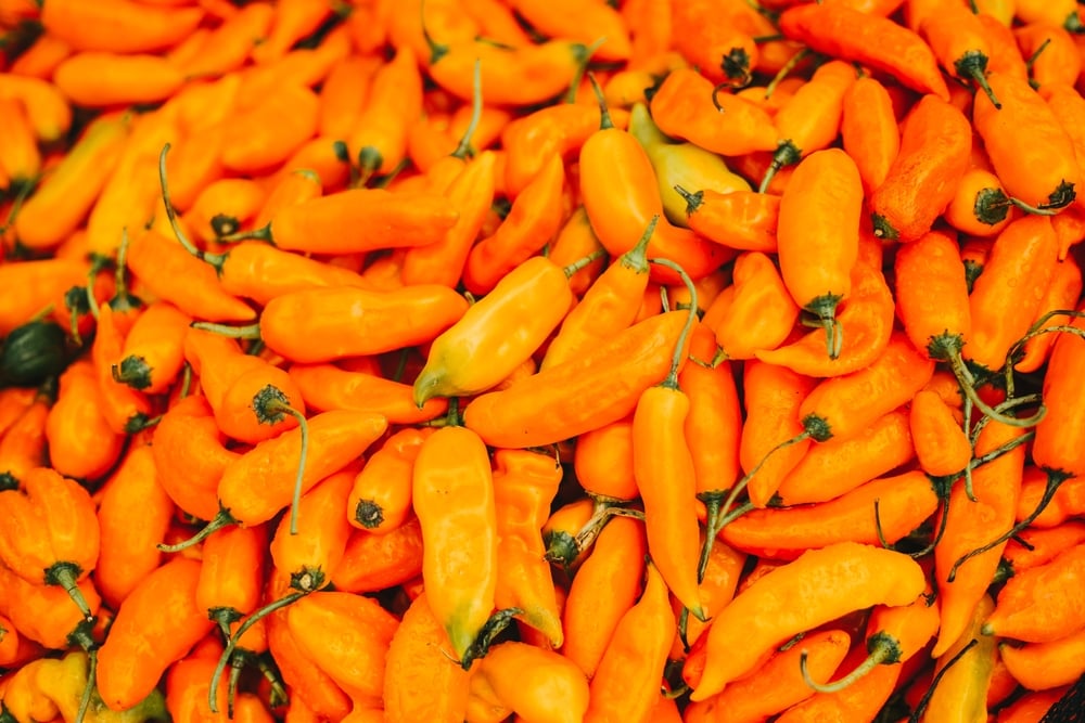 Types of Peppers ⋆ 100 Days of Real Food