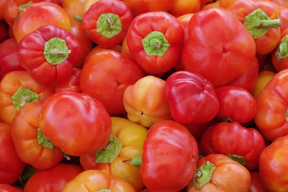 Types of Peppers ⋆ 100 Days of Real Food