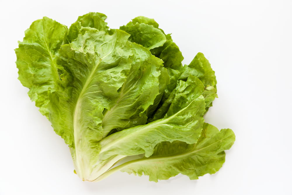 Types of Lettuce ⋆ 100 Days of Real Food