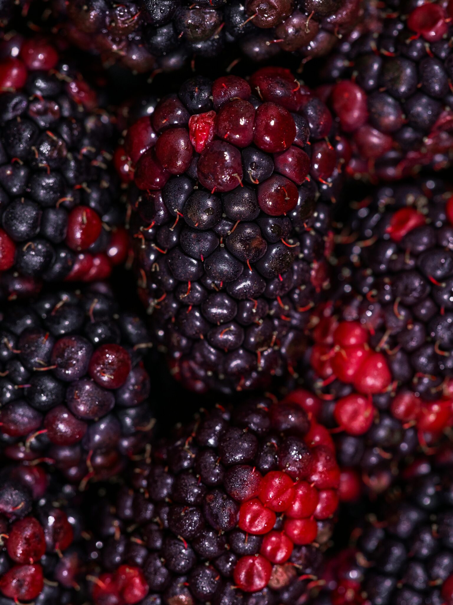 Types of Berries ⋆ 100 Days of Real Food